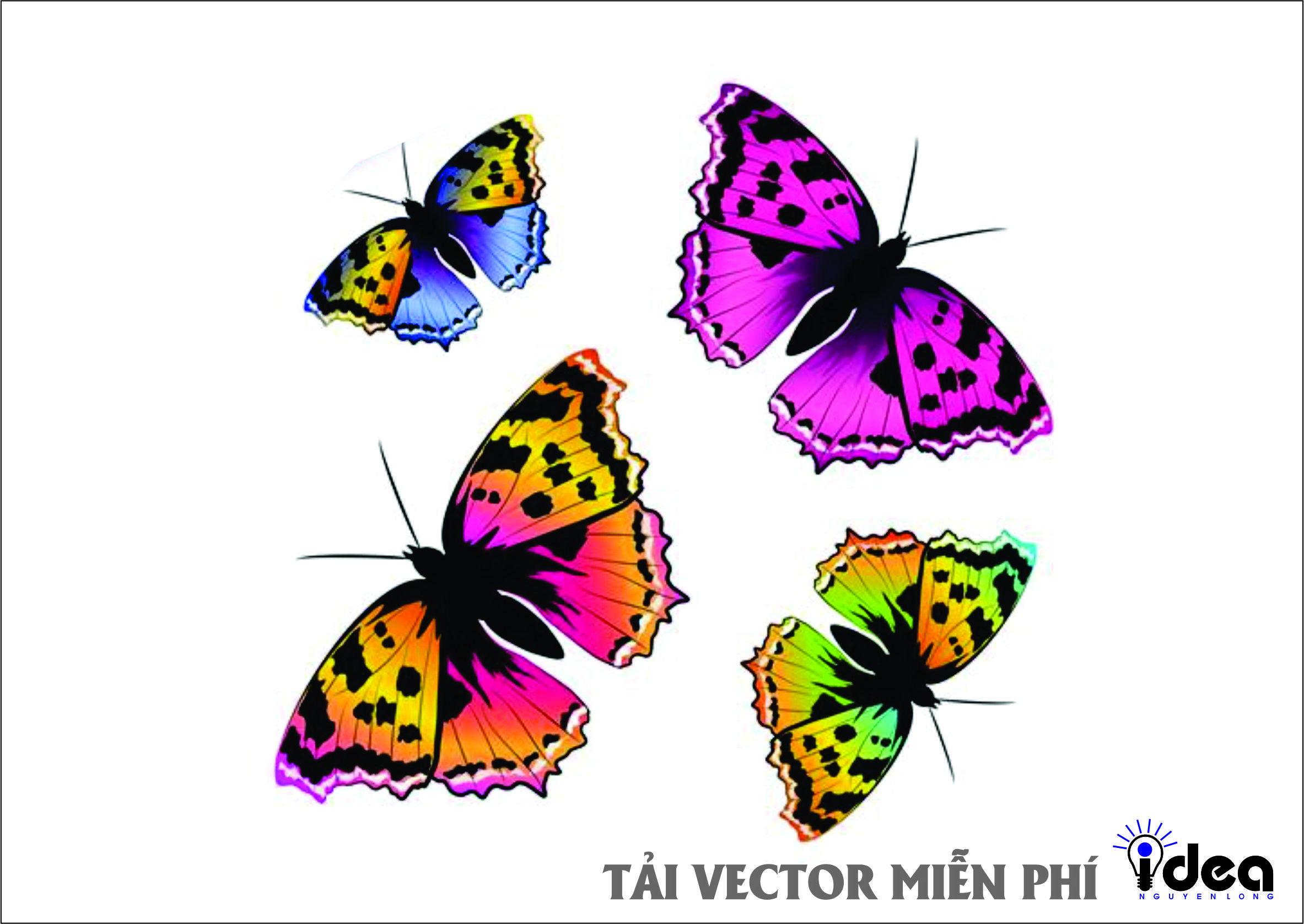Vector Con Bướm